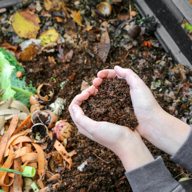 Composting at Home: Tips and Uses – Urban Ambiance