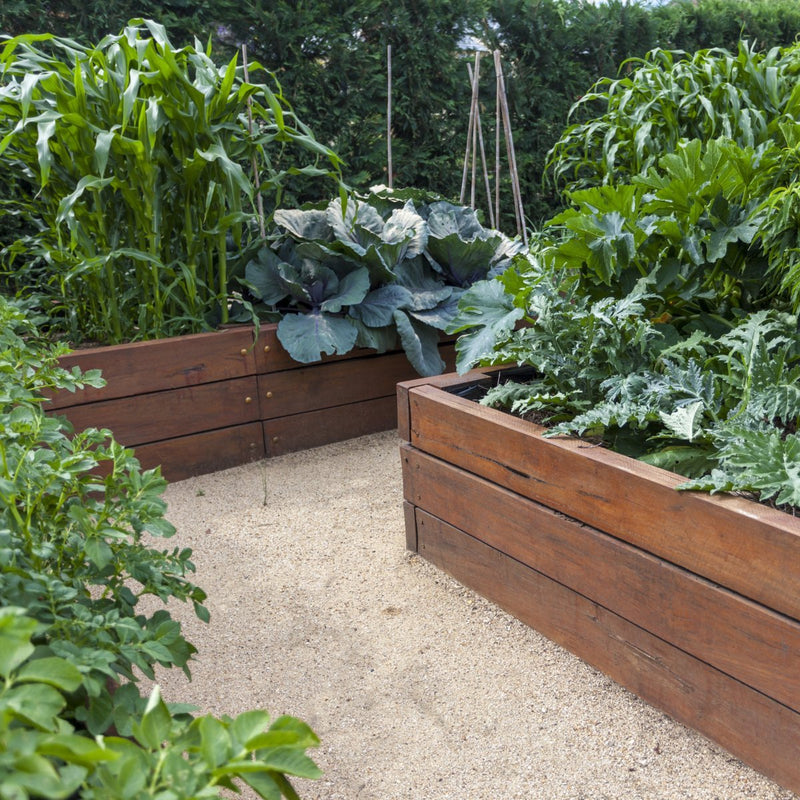 Grow and Enjoy Your Home Garden with your Family – Urban Ambiance