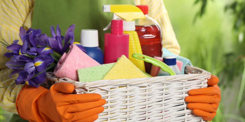 Spring Cleaning Checklist for a Spotless and Invigorating Home – Urban ...