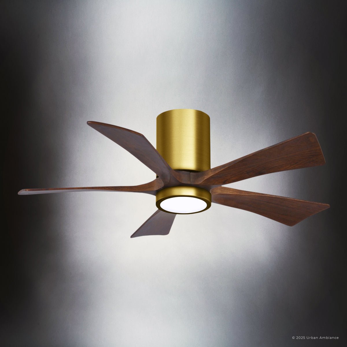 UMC9337 Modern Indoor/Outdoor Ceiling Fan, 12" H x 42" W x 42" D, Brus ...
